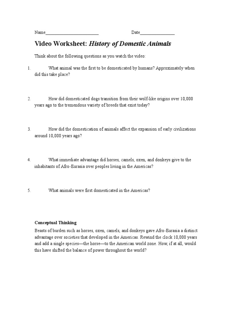 Lesson 3 Video Worksheet | PDF | Social Science
