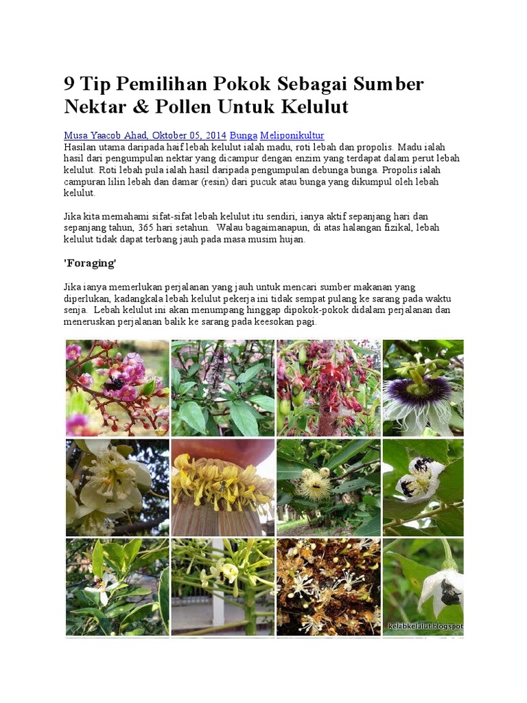 9 Tip Pemilihan Pokok Sebagai Sumber Nektar | PDF