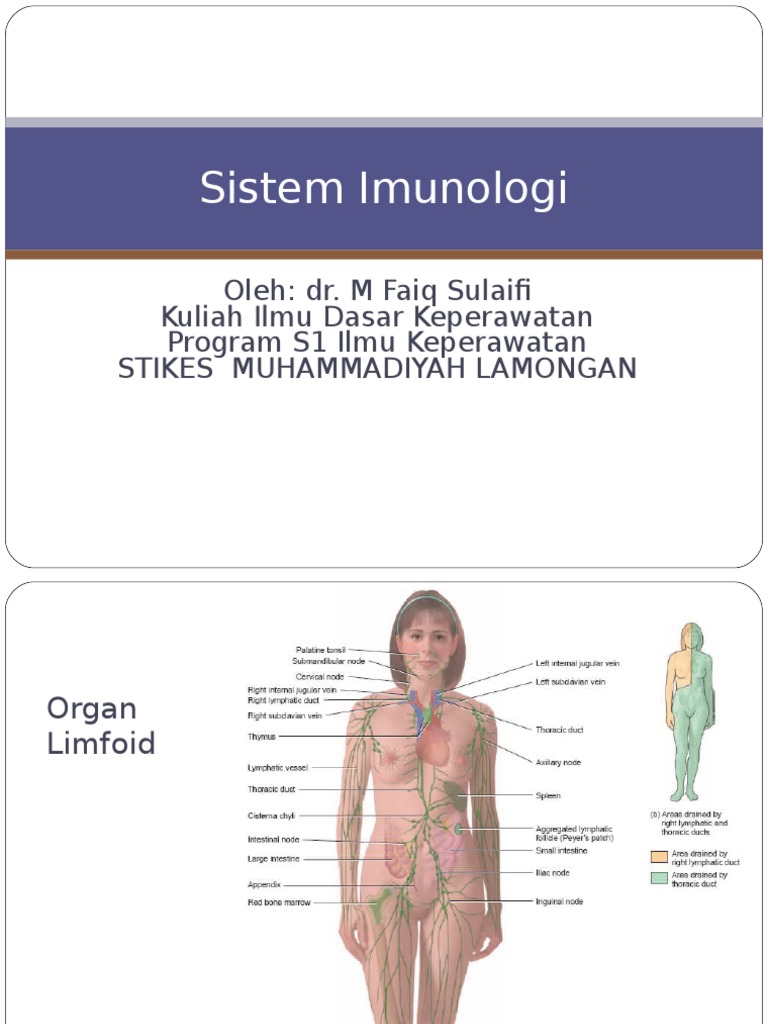 Sistem Imunologi | PDF | Antigen | Immune System