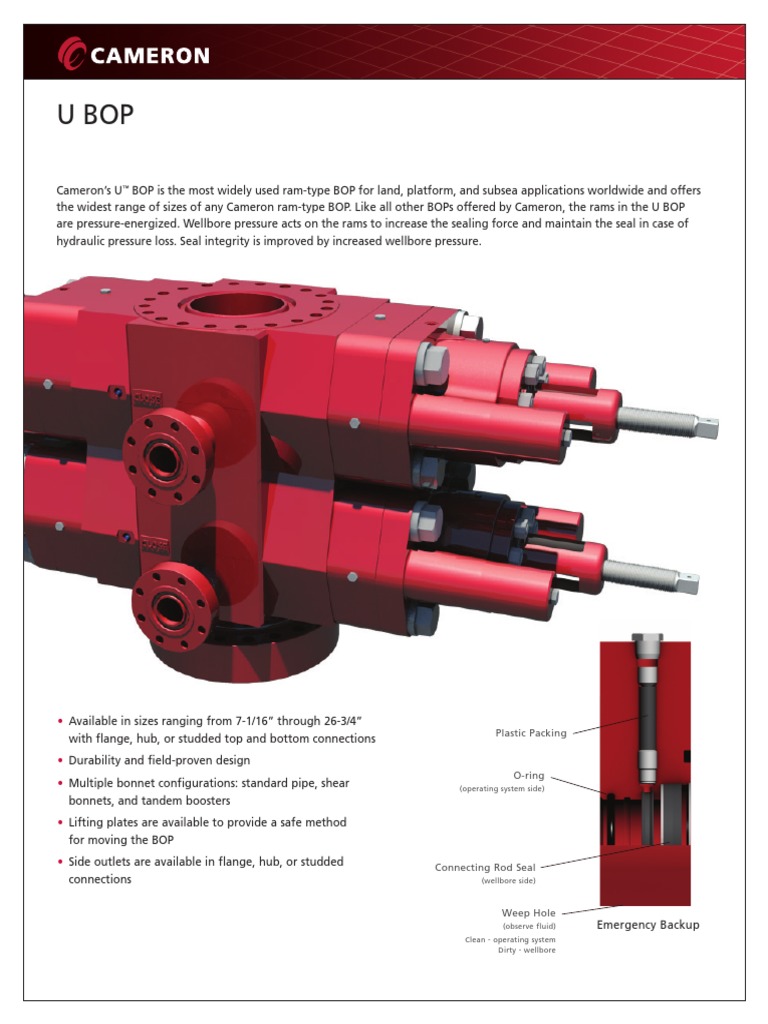 U Bop Flyer Cameron | PDF