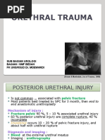 Urology Medical Terminology | PDF | Urinary System | Kidney