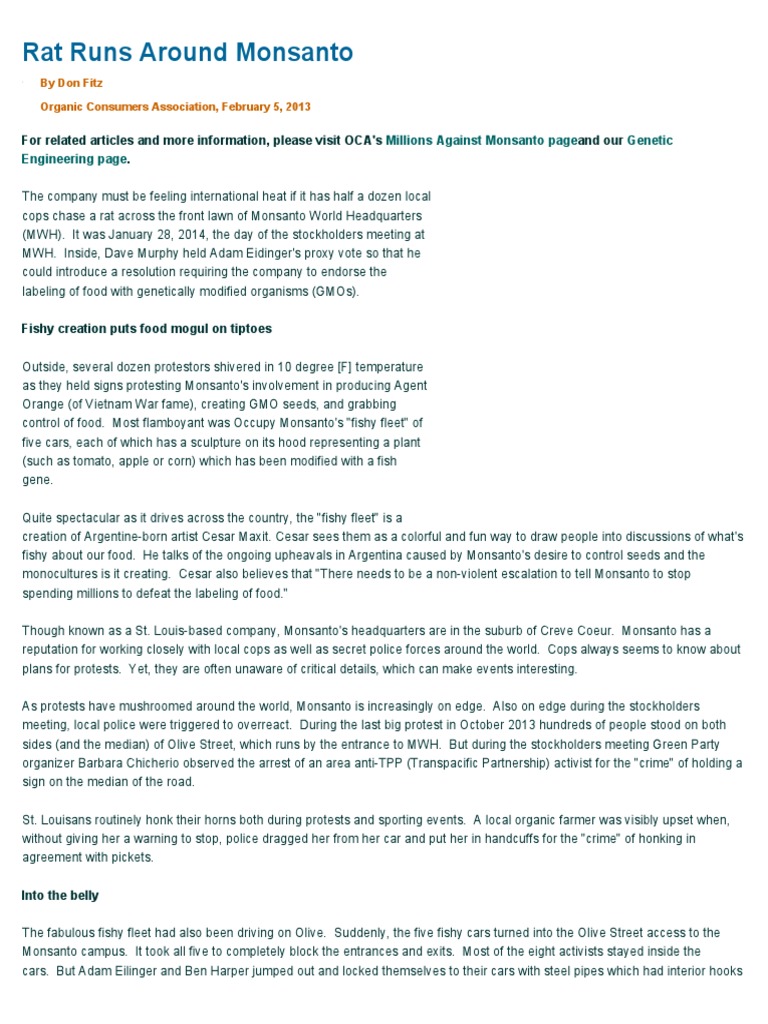 Rat Runs Around Monsanto | PDF | Monsanto | Trans Pacific Partnership