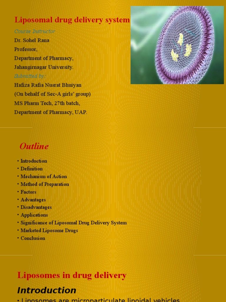 Liposomal Drug Delivery System | PDF | Liposome | Biochemistry