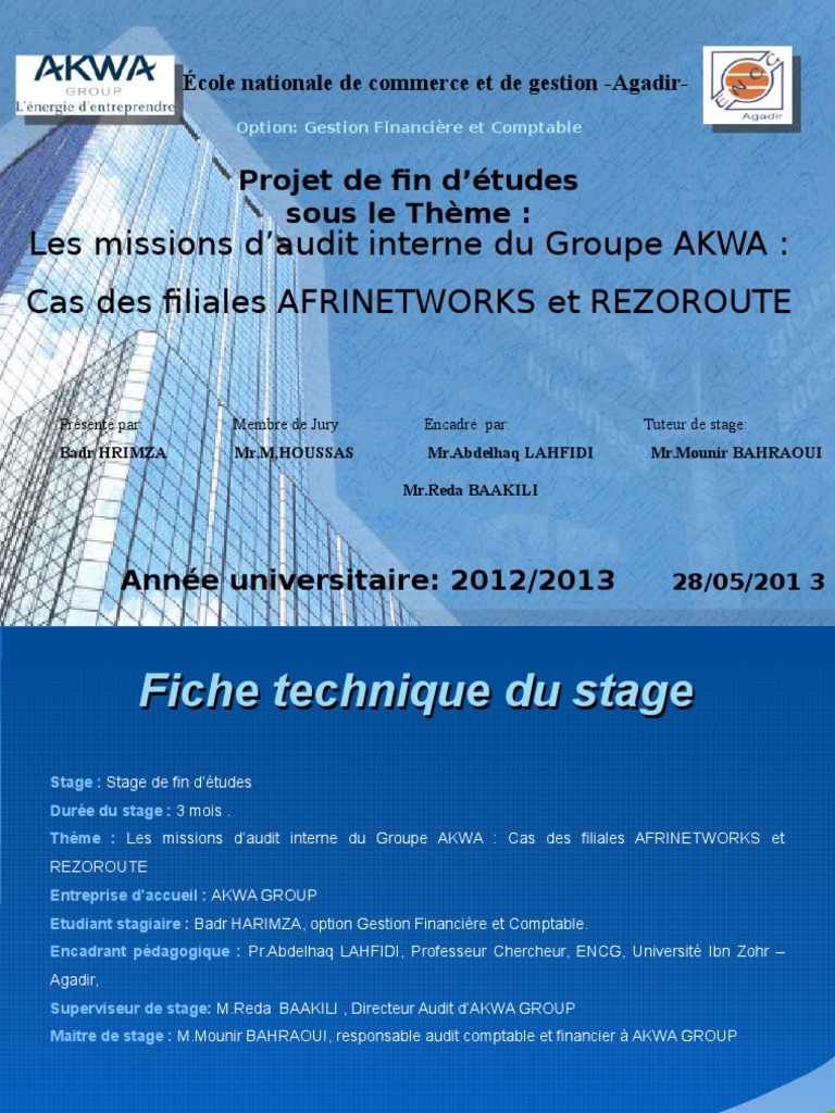 Pfe Akwa1 | PDF | Audit | Sodles