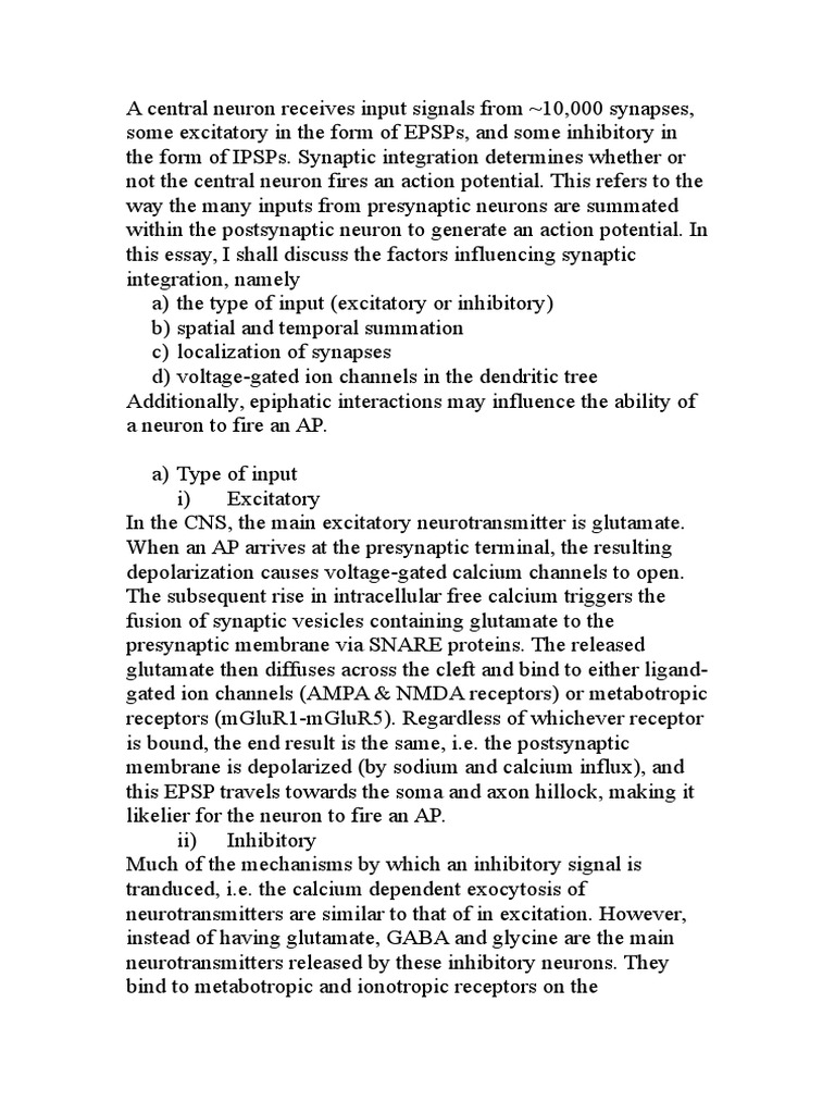 Synaptic Integration | PDF | Chemical Synapse | Inhibitory Postsynaptic Potential