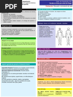 Buen Llenado Del Frap | PDF | Ambulancia | Cuidado de la salud