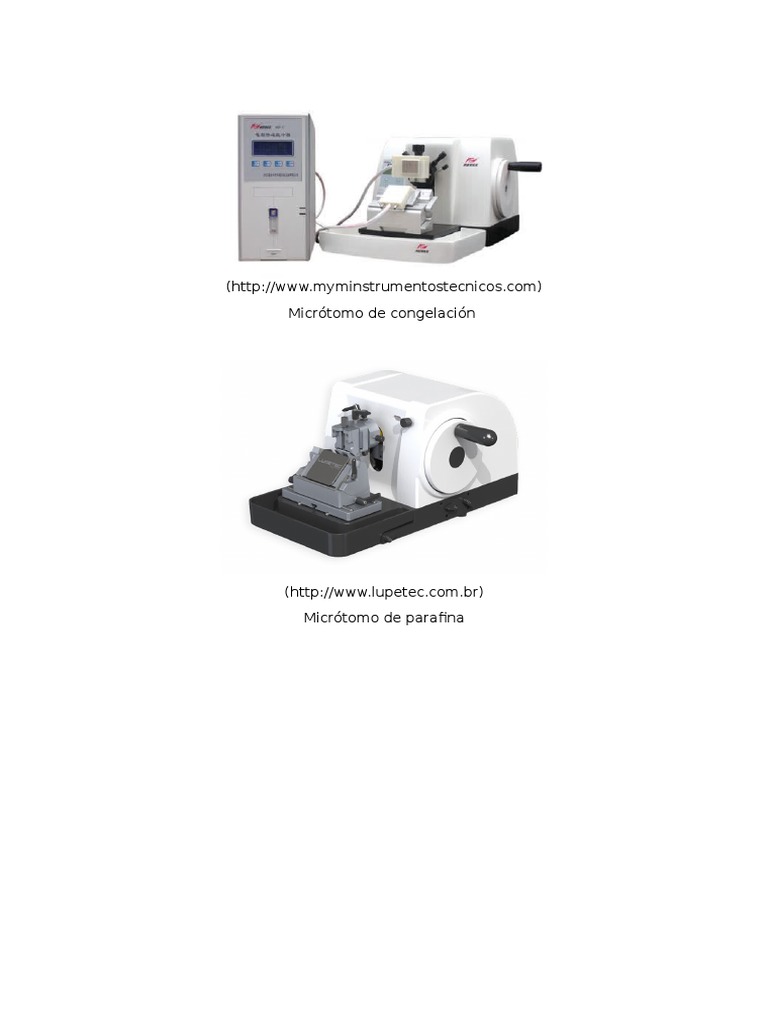 Micrótomo de Congelación | Hoja | Microscopio