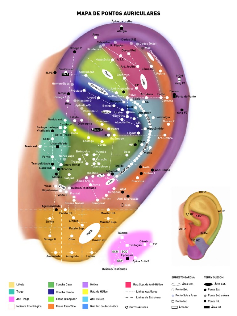 Mapa Auricular