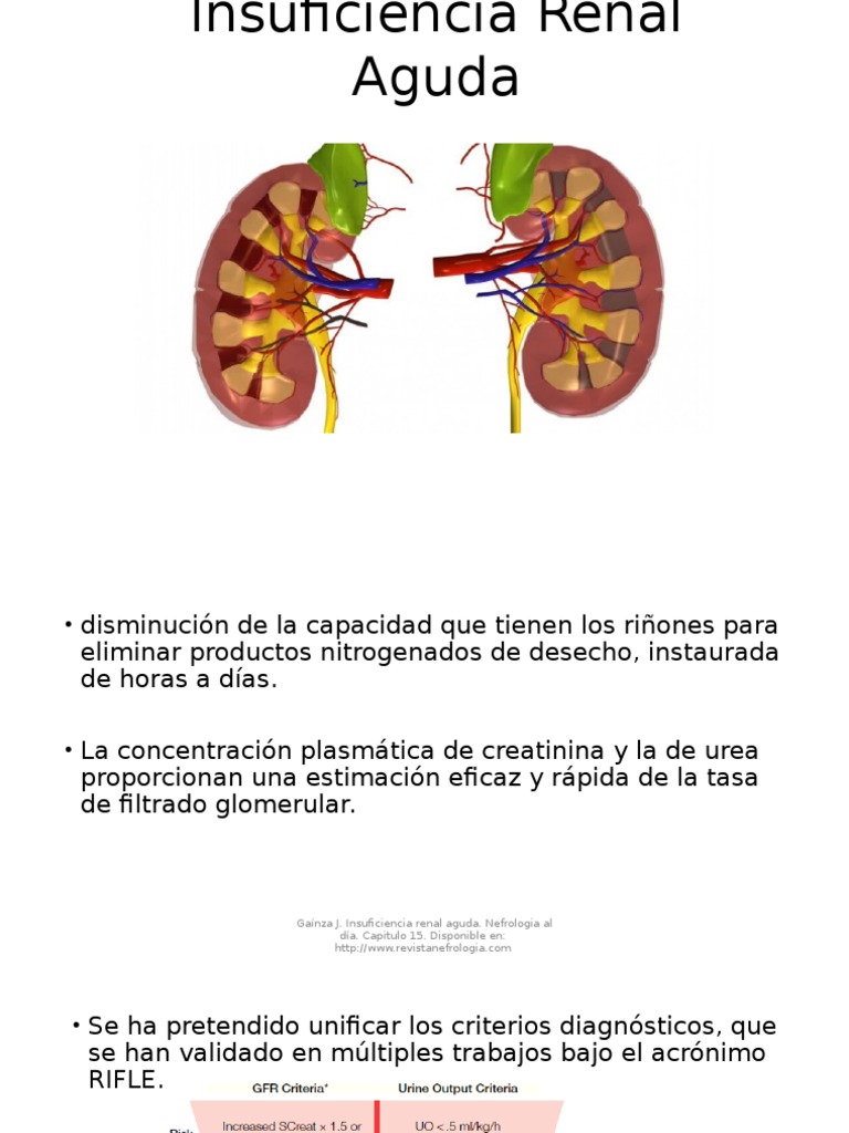 Insuficiencia Renal Aguda | Nefrología | Riñón