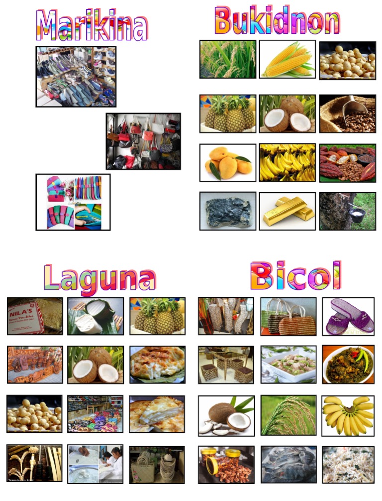 Mga Produkto NG Ibat - Ibang Lalalwigan | PDF