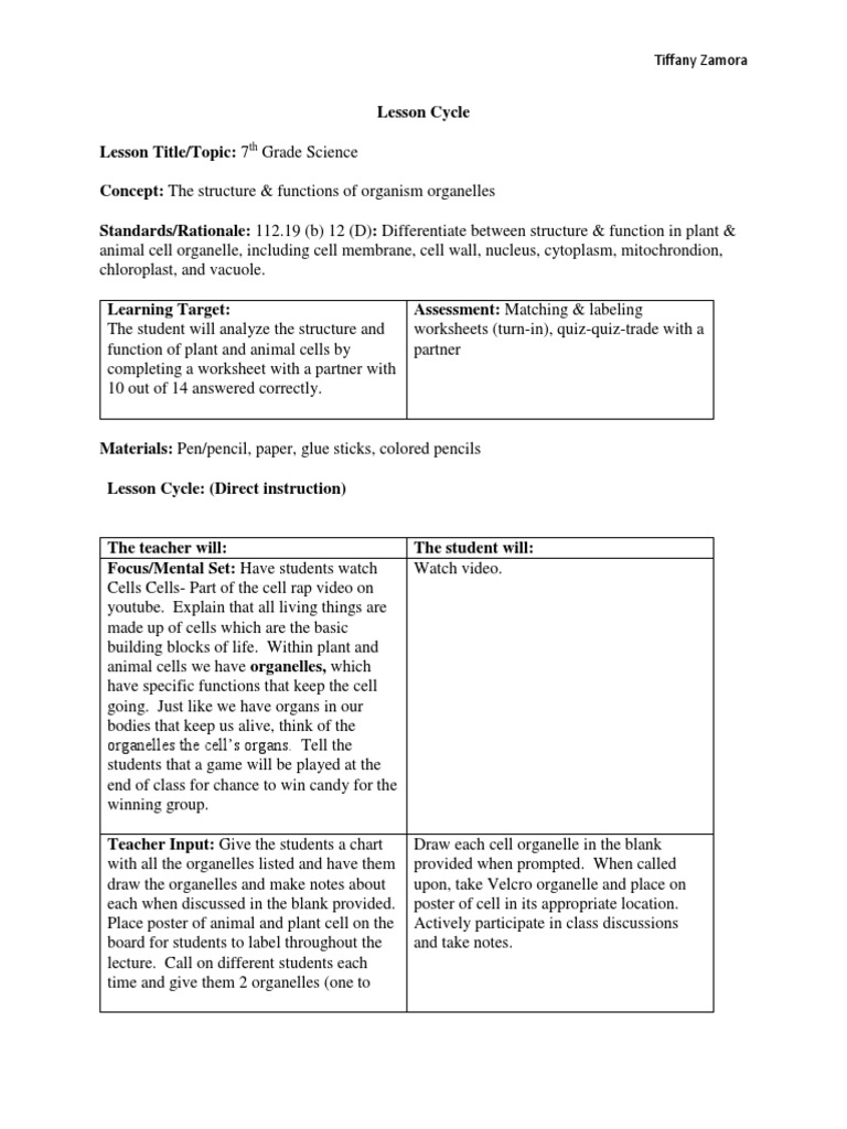 Plant and Animal Cells Lesson Plan | PDF | Cytoplasm | Vacuole