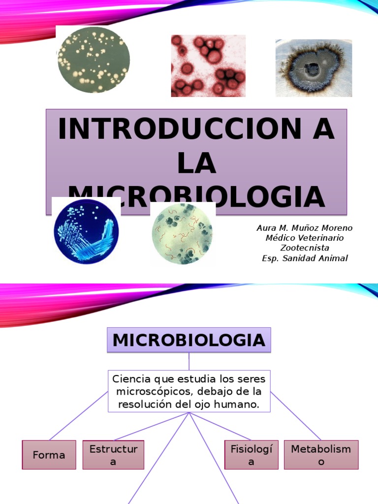 Introduccion A La Microbiologia | PDF | Microbiología | Microorganismo