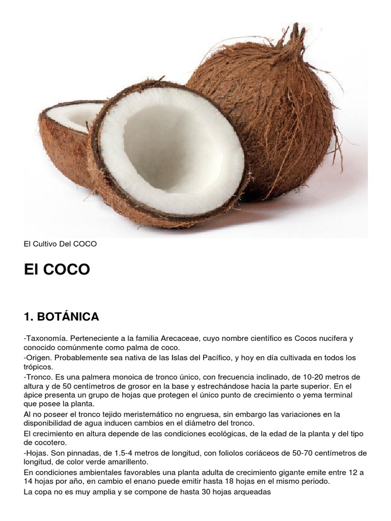 El Coco | PDF | Coco | Arecaceae