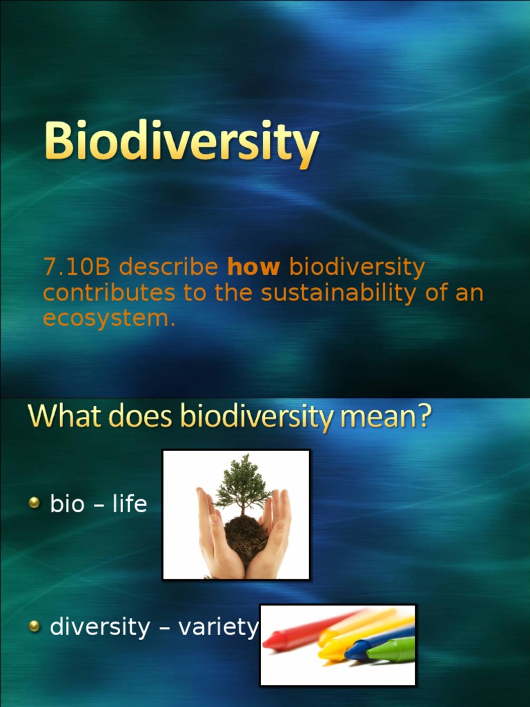 7.10B.rc - Why Biodiversity Matters | PDF | Biodiversity | Ecosystem