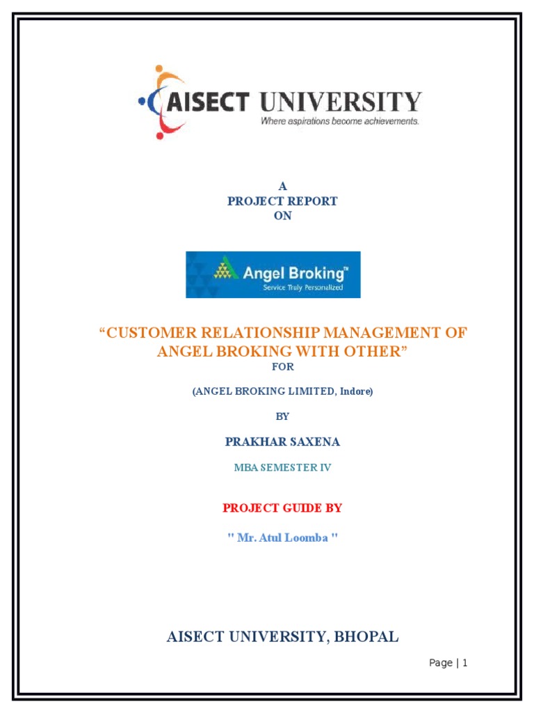 Customer Relationship Management Project Report | PDF | Customer ...