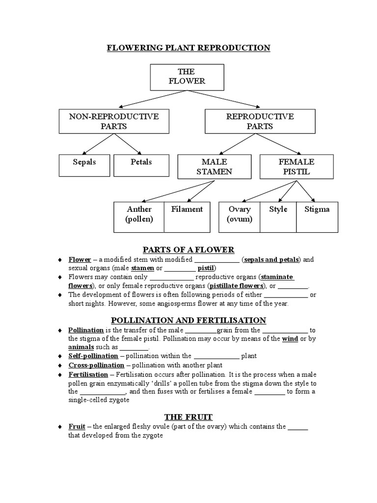 Flower Reproduction Worksheet | PDF