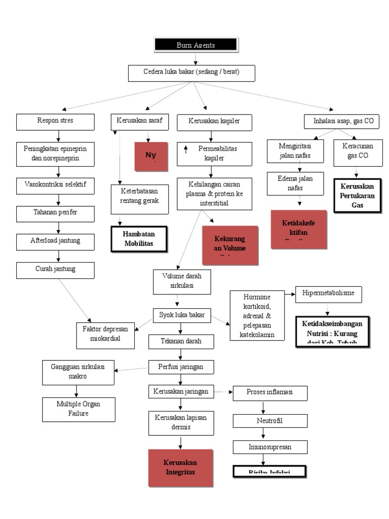 Pathway Luka Bakar | PDF