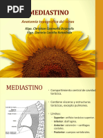 Anatomía y disección de la arteria mamaria interna | PDF | Tórax | Aorta
