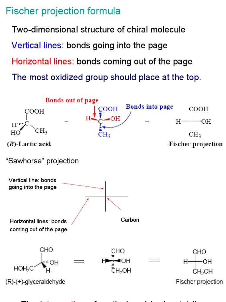 Fischer Projection | PDF