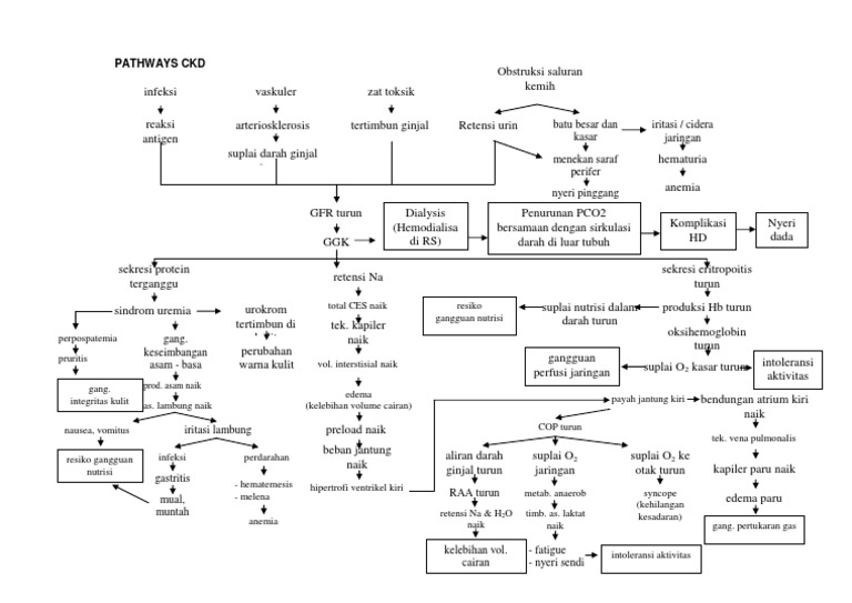 Pathway CKD | PDF | Chronic Kidney Disease | Urology