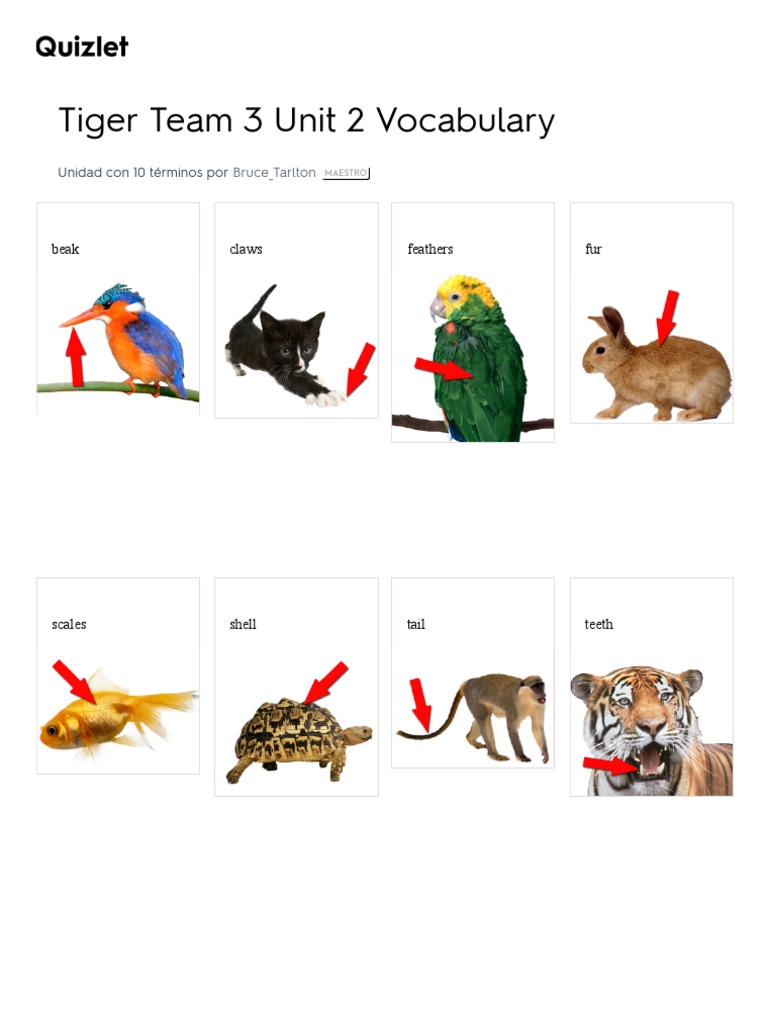 Fichas de Aprendizaje Tiger Team 3 Unit 2 Vocabulary - Quizlet | PDF