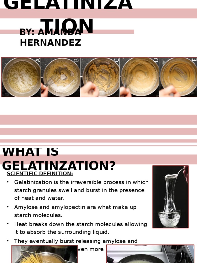Gelatinization | PDF