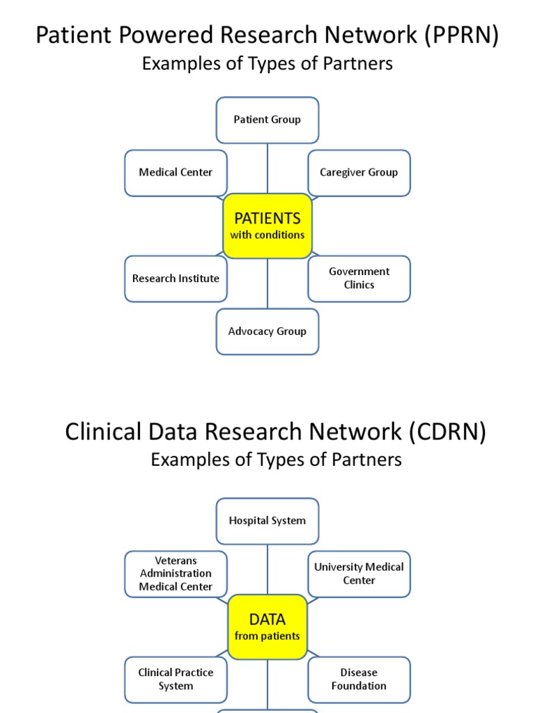 Introduction To Research Networks-Pprns Cdrns 10-27-16 | PDF