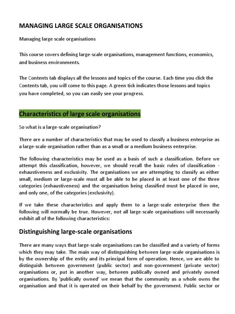 Managing Large-Scale Organizations | PDF | Competition | Employment