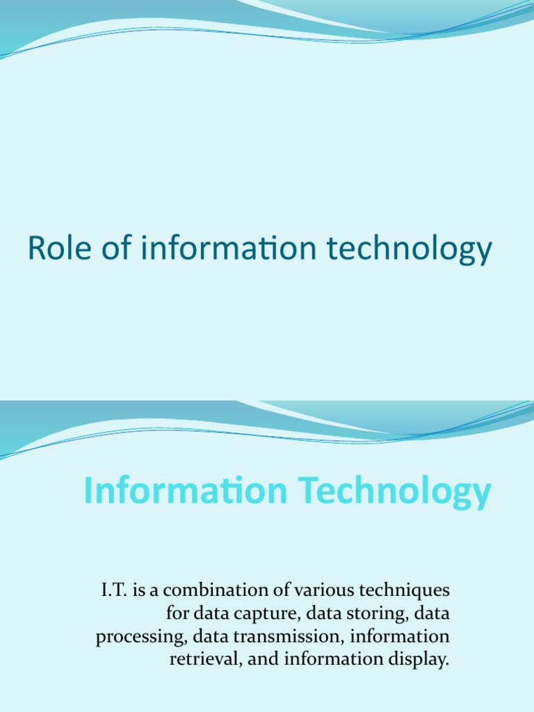 Understanding Information Technology Roles | PDF