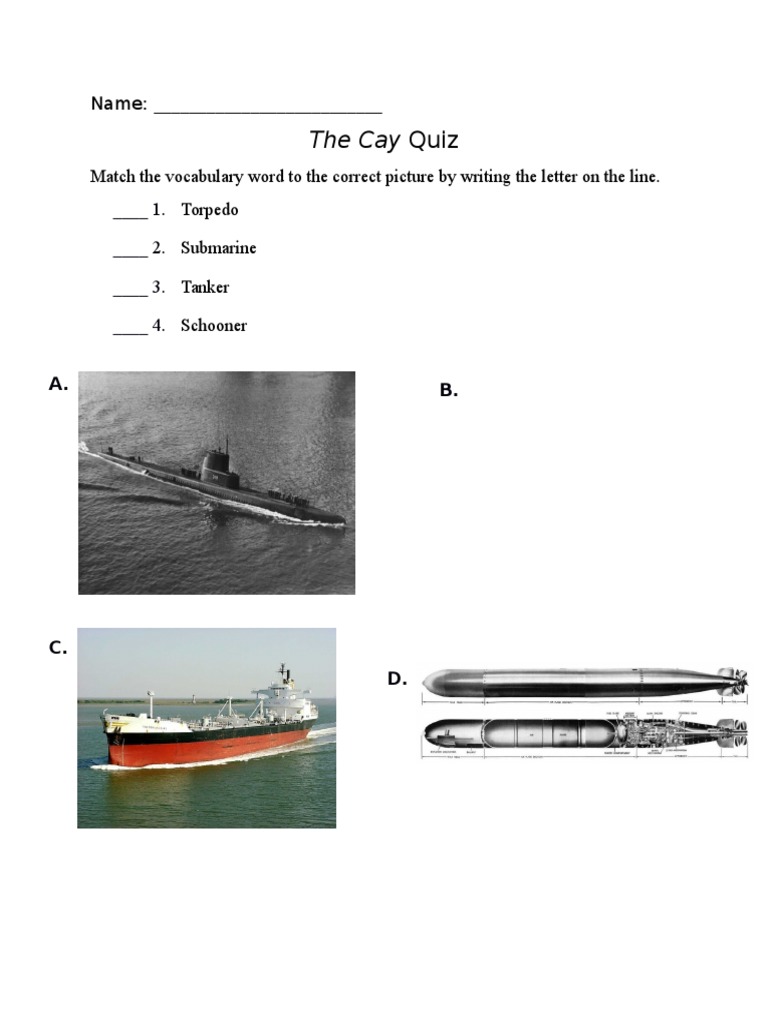 The Cay Vocabulary and Character Quiz | PDF