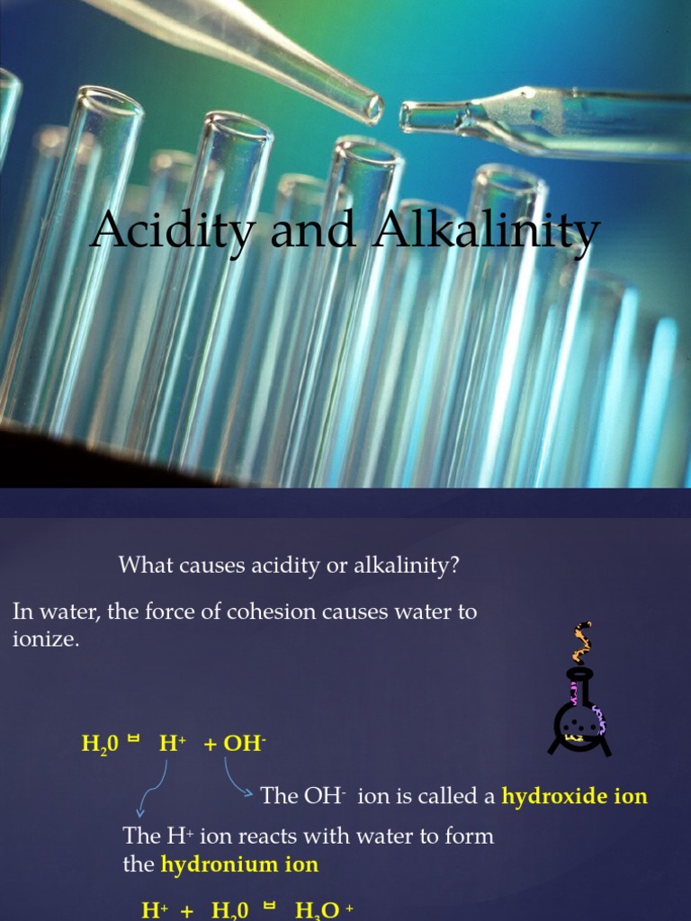 Acidity and Alkalinity | PDF
