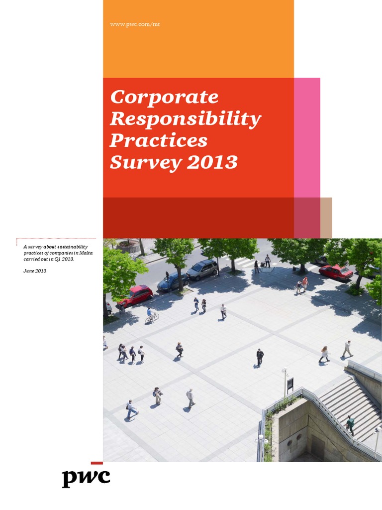 CSR Survey 2013 | PDF | Corporate Social Responsibility | Stakeholder ...