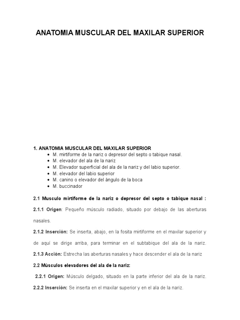 Anatomía de los Músculos Maxilares | PDF | Cabeza y cuello humanos ...