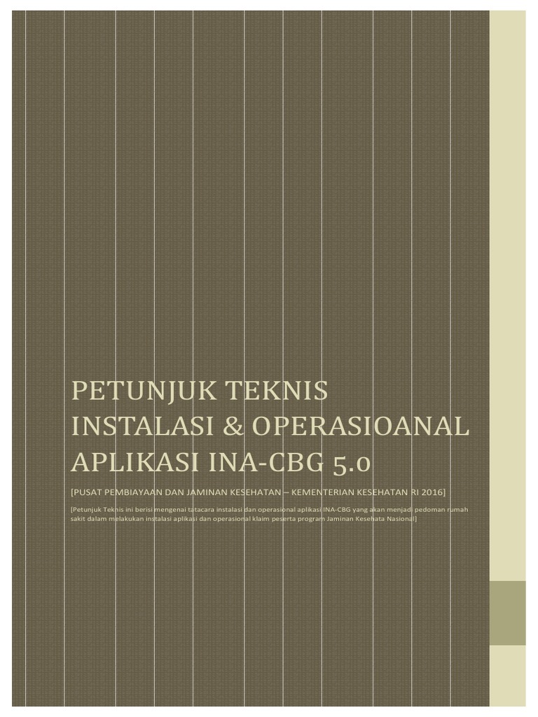 Petunjuk Teknis Aplikasi INA-CBG 5.0 | PDF | Bisnis | Komputer