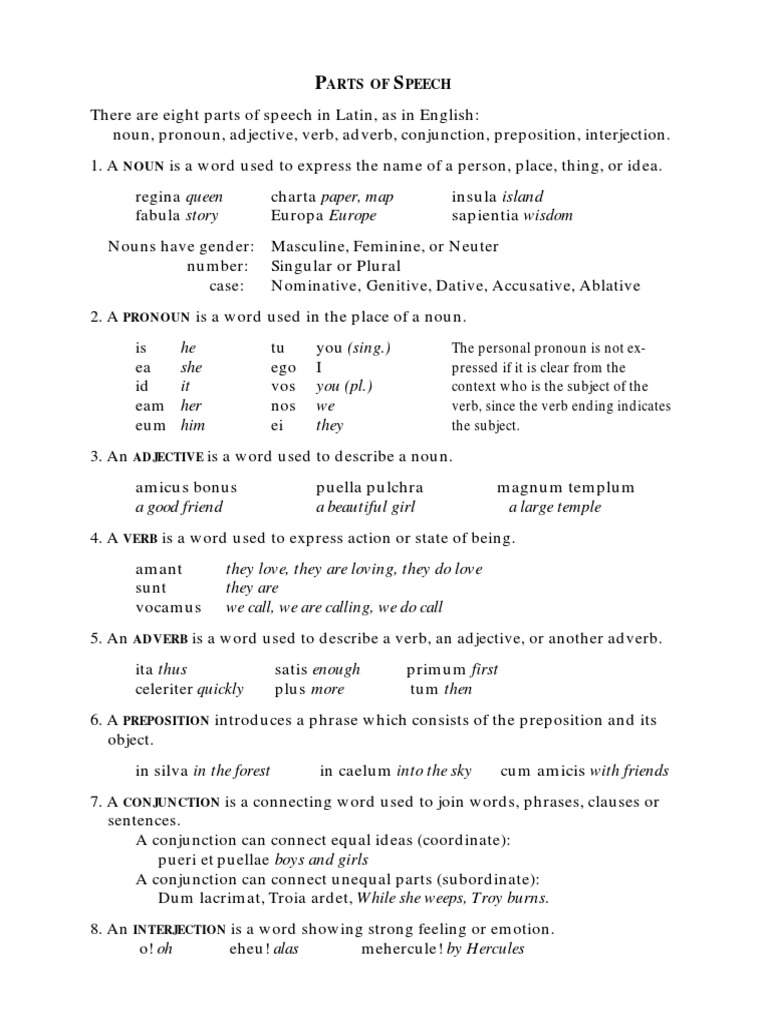 8 Parts of Speech in Latin As English | PDF | Grammatical Gender | Noun