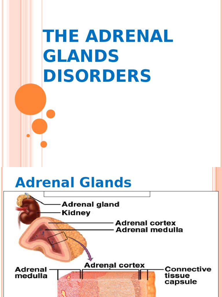Adrenal Gland Disorders | PDF