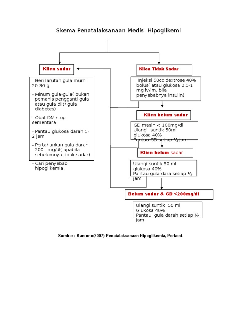 Skema Penatalaksanaan Medis Hipoglikemi | PDF