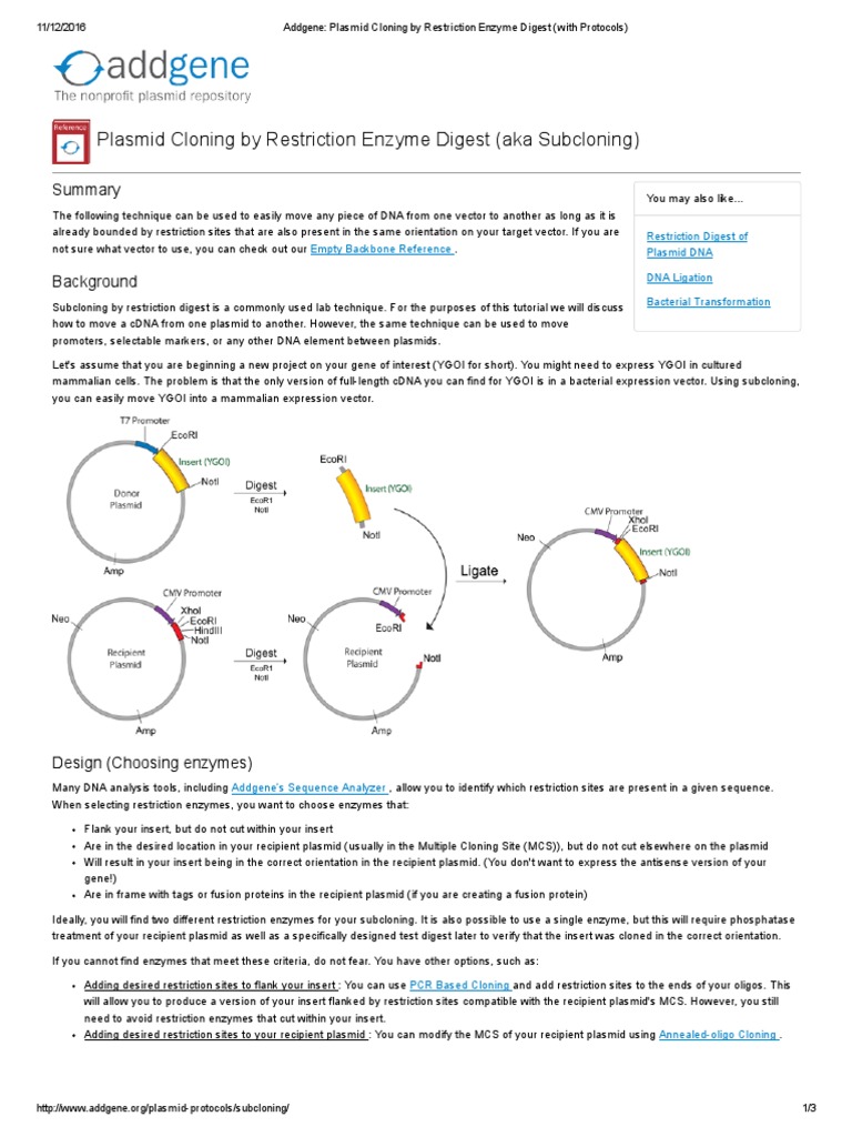 Plasmid Cloning by Restriction Enzyme Digest | PDF | Molecular Cloning ...