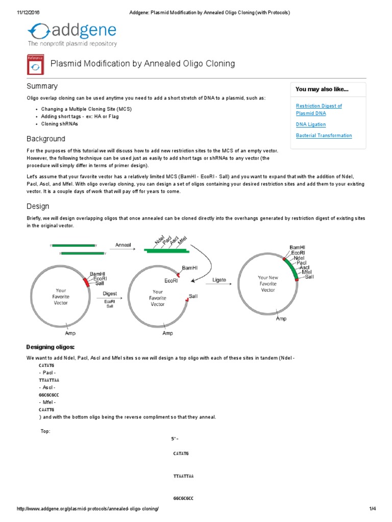 Plasmid Modification by Annealed Oligo Cloning | PDF | Plasmid ...