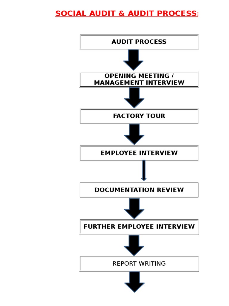 Social Audit & Audit Process | PDF