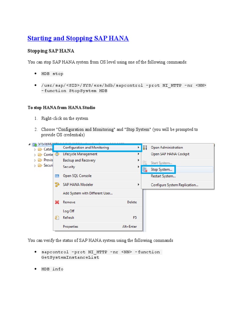 Starting and Stopping SAP HANA | System Software | Computing