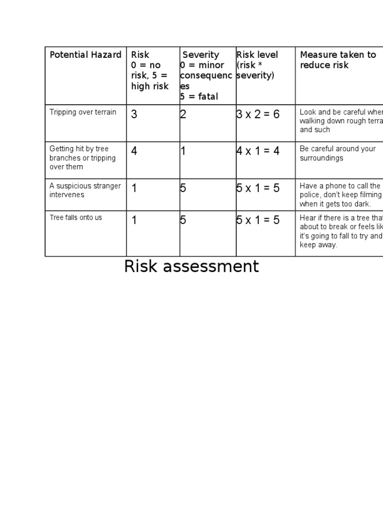Potential Hazard | PDF