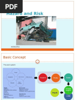 Pregnancy Risk Assessment Template | PDF