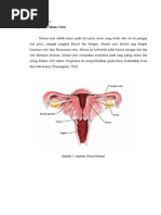 Kematian Janin: Definisi dan Etiologi | PDF