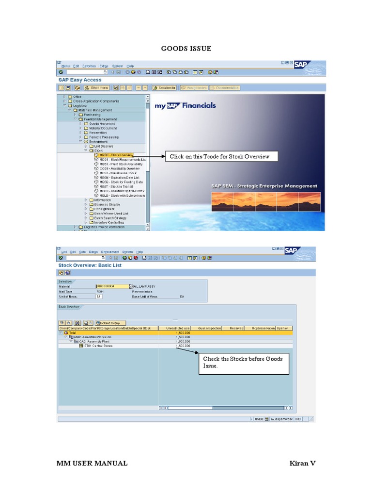 SAP Goods Issue Process Guide | PDF