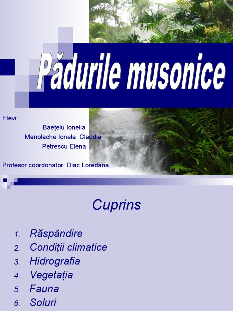 Padurile musonice