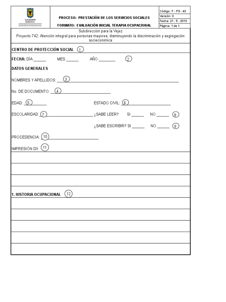 (29052013) Formatos Terapia Ocupacional | PDF | Vejez | Trabajo Social