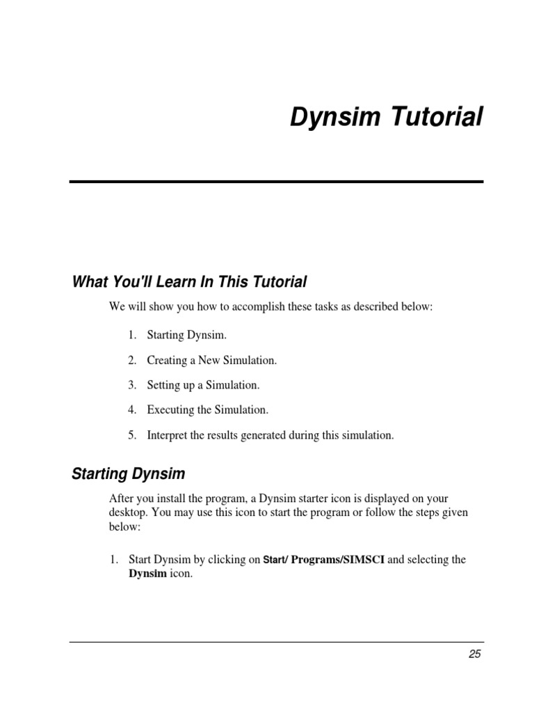 Dynsim | PDF | Icon (Computing) | Computer Simulation