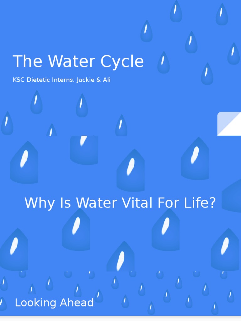 The Water Cycle | PDF