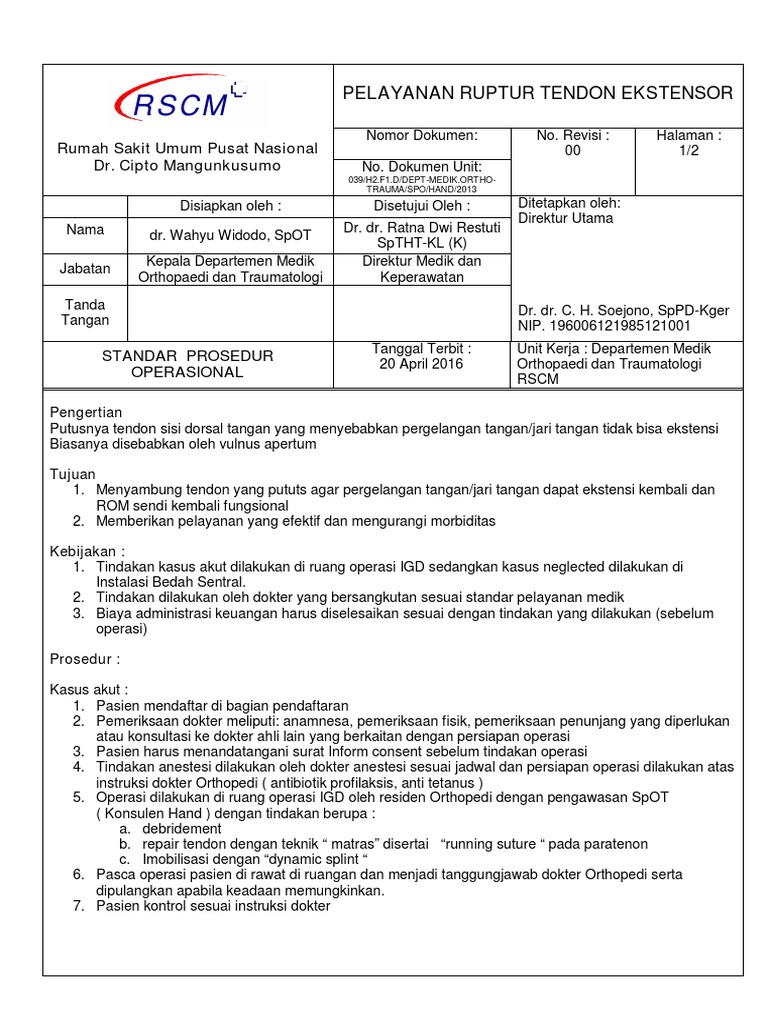 Ruptur Tendon Ekstensor PDF | PDF